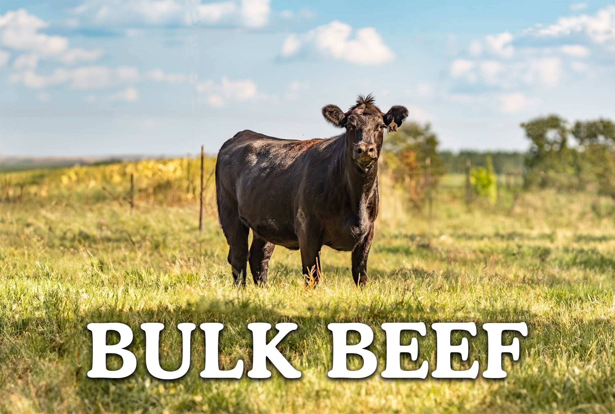 All products - McBee Meat Company