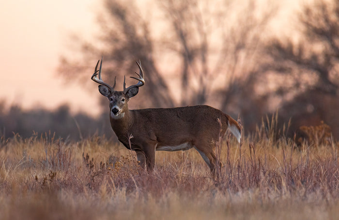 Deer Processing | McBee Meat Company